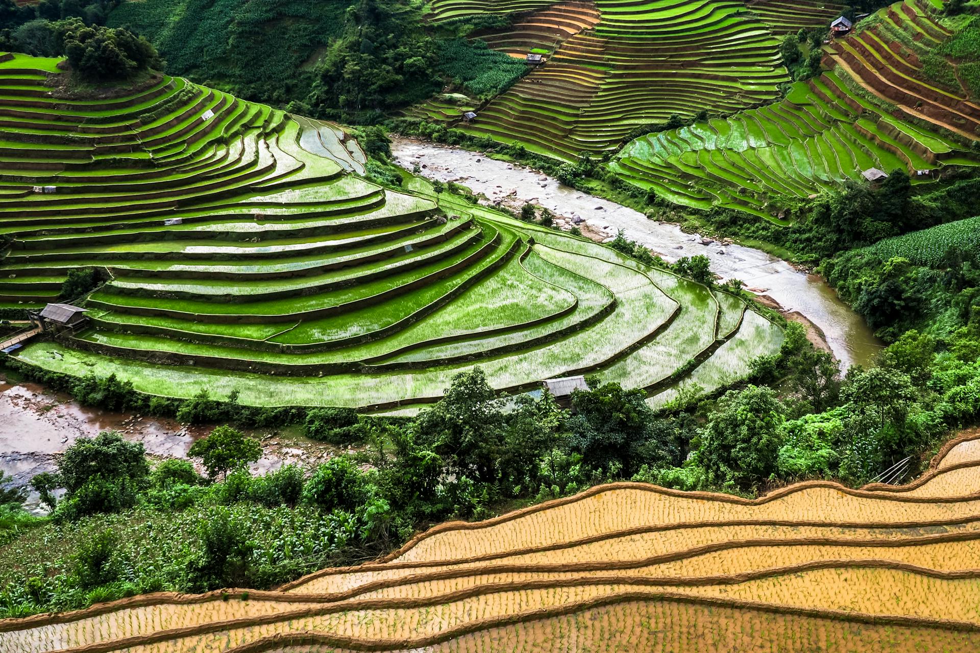 The GRI Framework for ESG Compliance - Prgenix